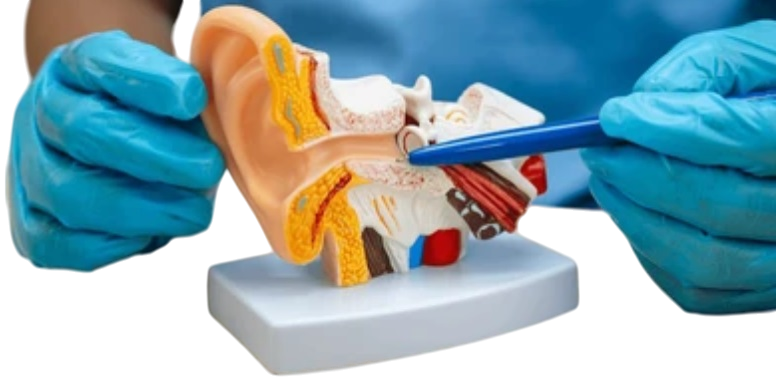 Área de lavados de Oídos – CEPSI ® Centro Público de Salud Integral